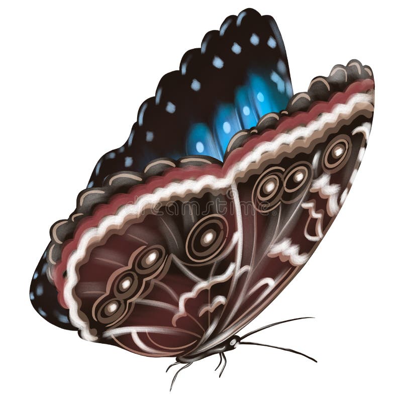 Abstract Blue Butterfly for Decorative Design. Bright Illustration ...