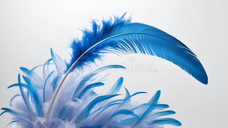 Abstract Blue Colour Feathers on White Background, Copy Space for ...