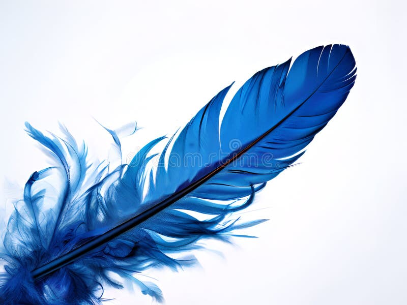 Abstract Blue Colour Single Feather on White Background, Copy Space for ...