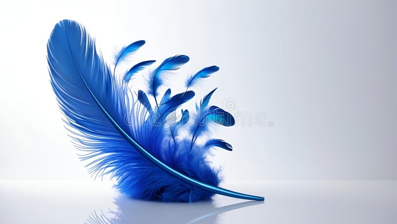 Abstract Blue Colour Single Feather on White Background, Copy Space for ...
