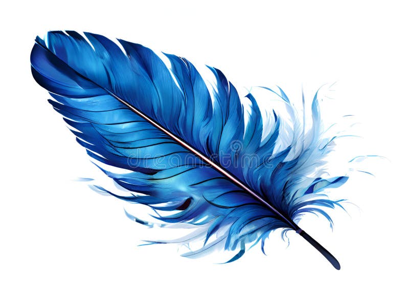 Abstract Blue Colour Single Feather on White Background, Copy Space for ...