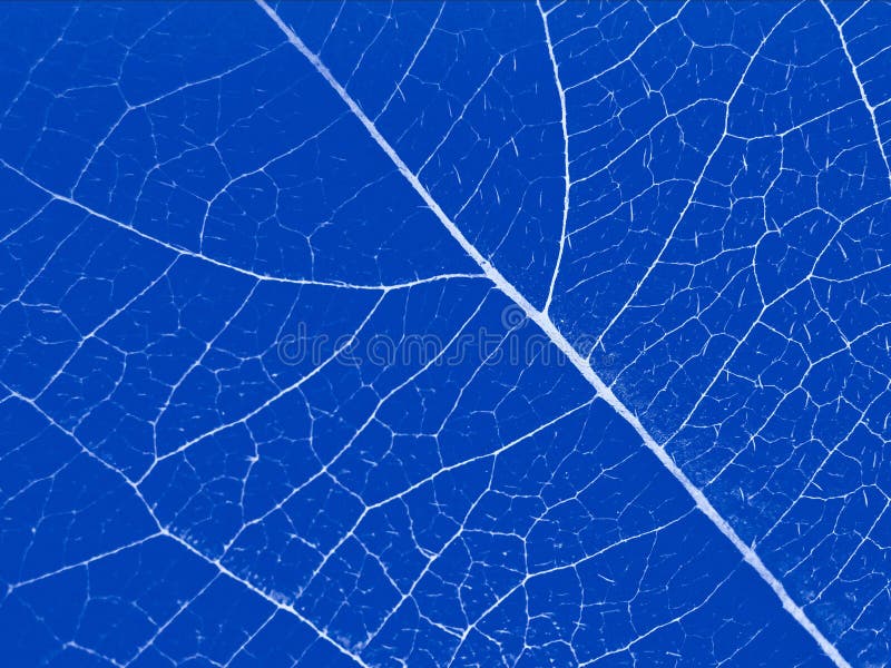 Abstract Blue Leaf Background Stock Image - Image of backgrounds ...
