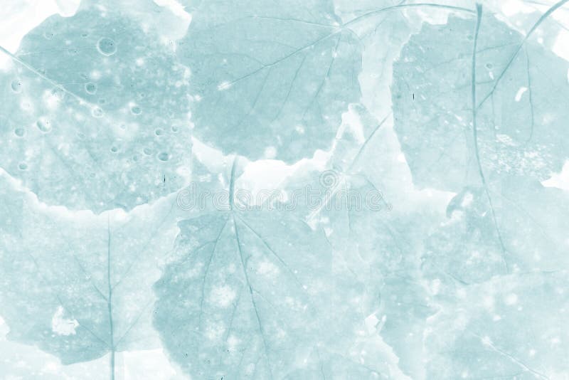 Abstract blue leaves stock illustration. Illustration of spring - 75808716