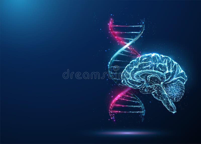 Abstract Blue and Purple DNA Molecule Helix and Brain Stock ...