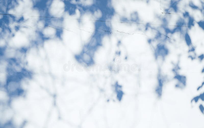 Abstract Blur Background, Blurred Blue Shadow of Leaves from a Tree on ...