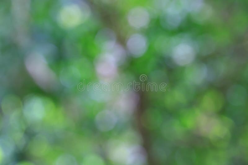 Abstract Blur Bokeh Background Stock Photo - Image of bokeh, defocused ...