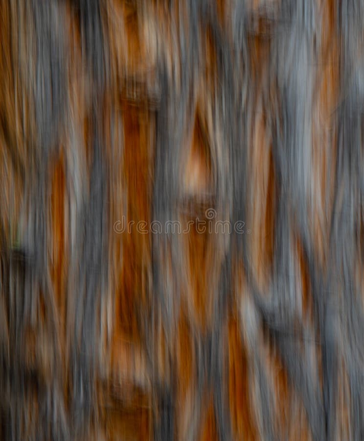 Abstract Blur Design of Tree Trunk Special Motion Effect Stock ...