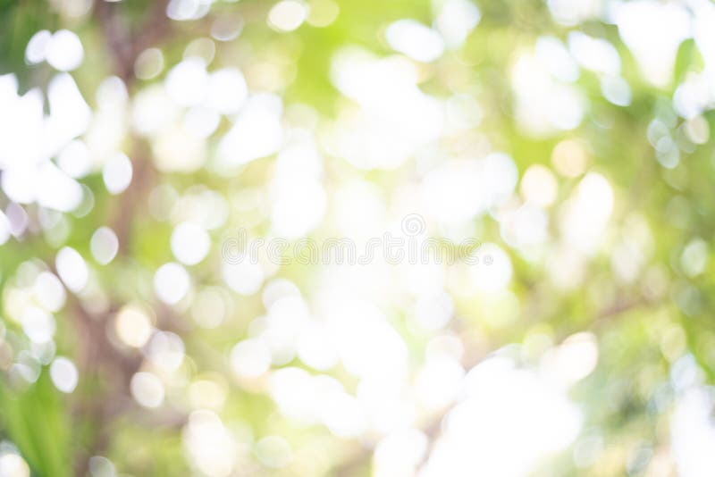 Abstract Blur Green Color for Background,blurred and Defocused Effect ...