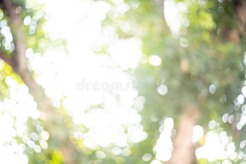 Abstract Blur Green Color for Background,blurred and Defocused Effect ...