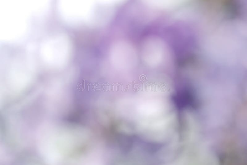Abstract Blur Light Gradient Purple Soft Pastel Color Wallpaper ...
