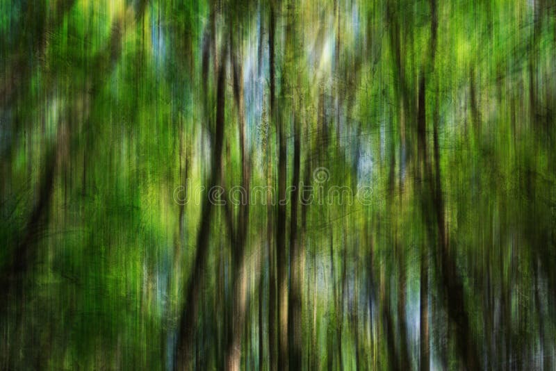 Abstract Blur of Trees Background Stock Image - Image of beauty, park ...