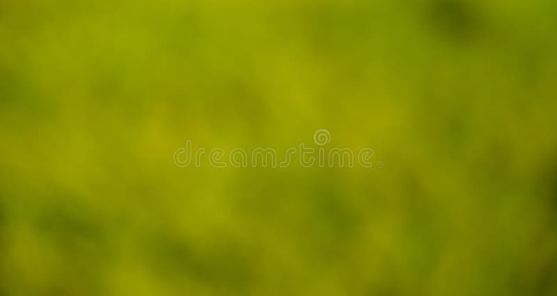 Abstract Blured Out of Focus Green Background Stock Image - Image of ...