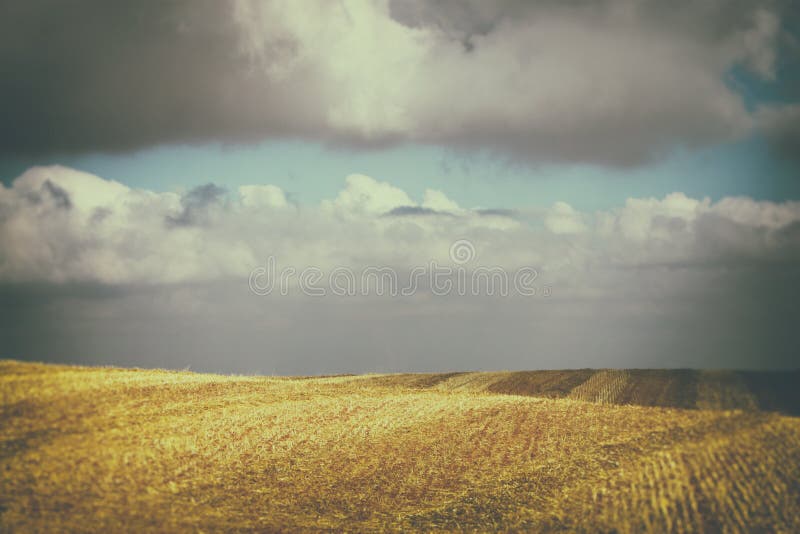 Abstract Blurred Bacground of Nature View with Faded Style Look. Good ...