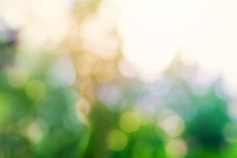 Abstract Blurred Greenery Foliage Background Stock Photo - Image of ...