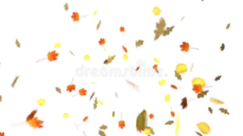 Oak Leaf Falling on Green Screen Stock Footage - Video of graphic ...