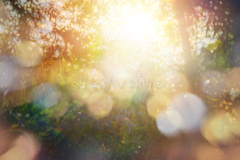 Abstract Blurred Spring or Summer Nature Background Stock Image - Image ...