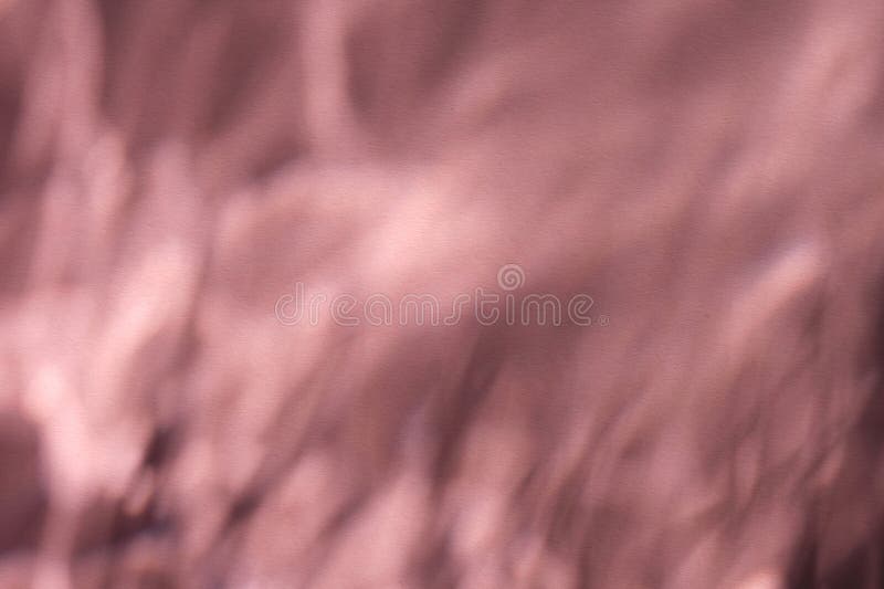Abstract Blurred Underwater Sun Shadows on the Pink Background Stock ...