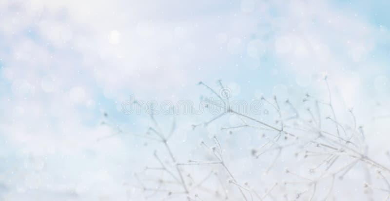Abstract Blurred Winter Background, Banner Stock Image - Image of ...