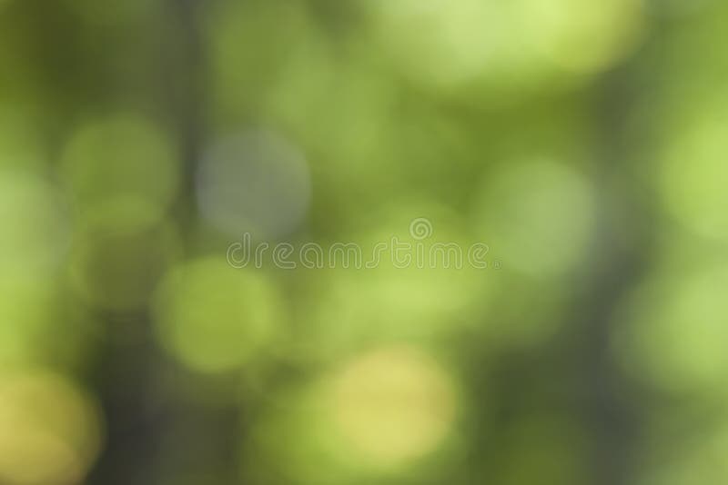 Abstract Bokeh Green Circles Background Stock Photo - Image of defocus ... Abstract Bokeh Green Circles Background Stock Photo - Image of defocus ...