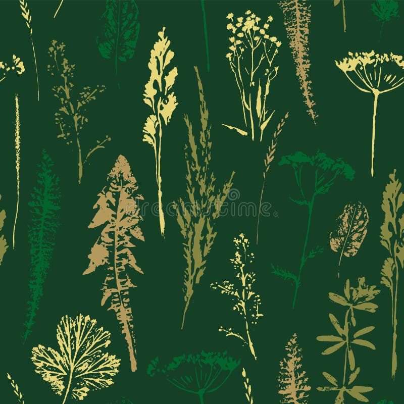 Abstract Botanical Seamless Pattern. Vector Herbal Background. Stock ...