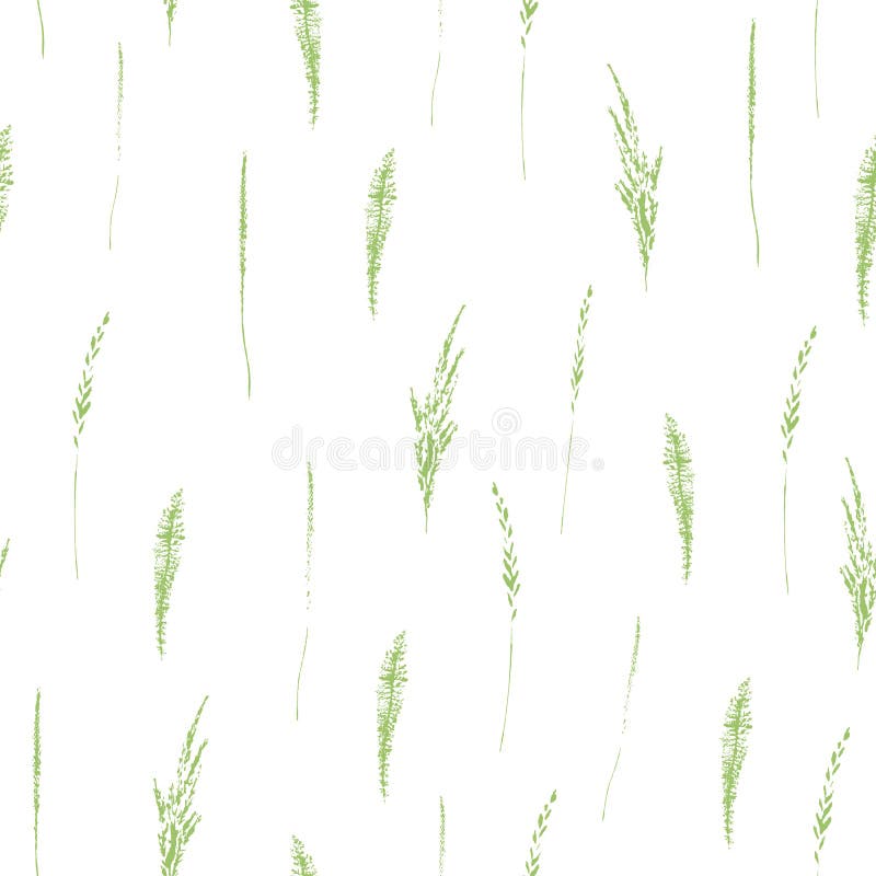 Abstract Botanical Seamless Pattern. Vector Herbal Background. Stock ...