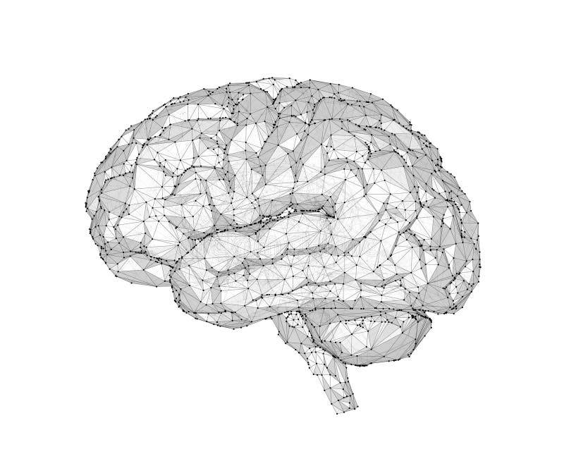 Poly Anatomy Polygon Design Stock Illustrations – 1,651 Poly Anatomy ...