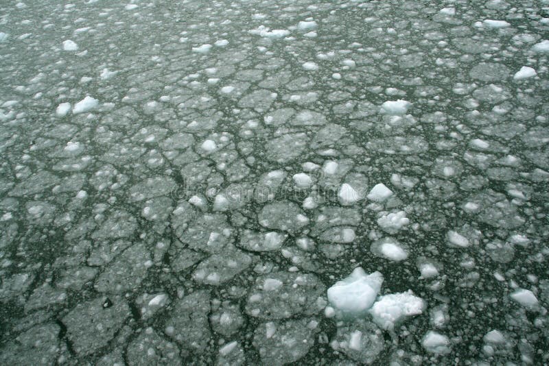 Abstract, Brash Ice Forming at Sundown in Calm Glacier Bay Stock Photo ...