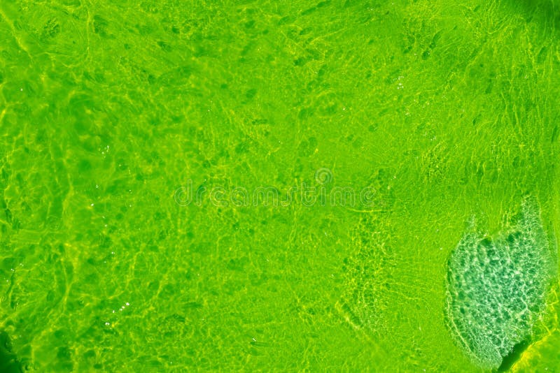 Slime Ooze Transparent Background Stock Photos - Free & Royalty-Free ...