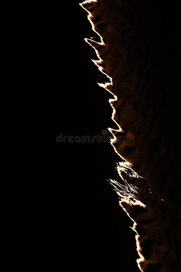 Abstract Bright Light Reflection on Water Surface. Stock Image - Image ...