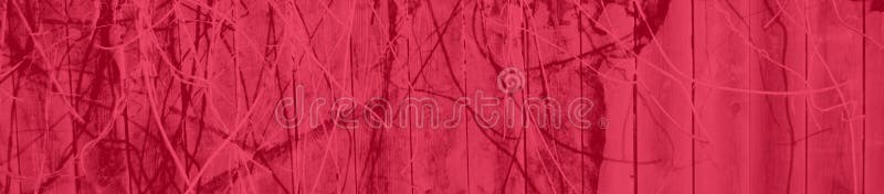 Abstract Bright Pink and Red Colors Background for Design Stock Image ...