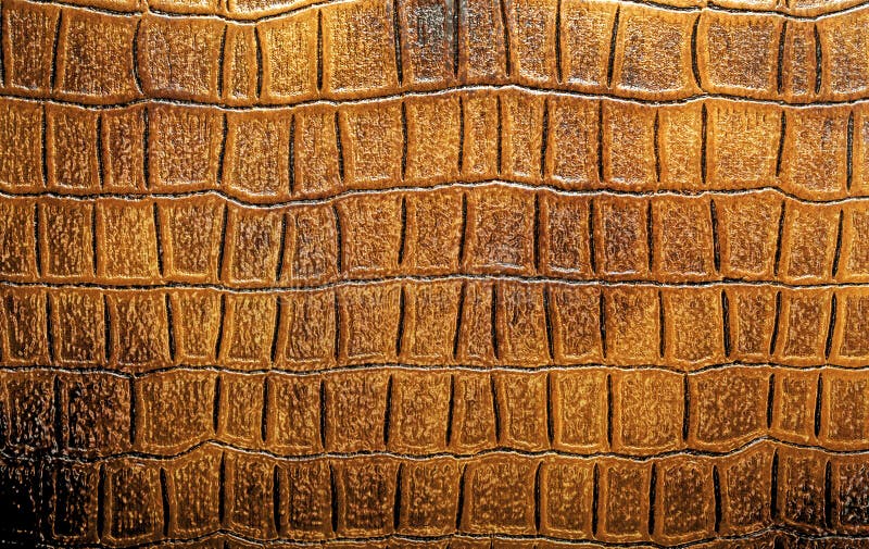 Brown Alligator Glossy Natural Leather on Macro, Texture. Stock Image ...