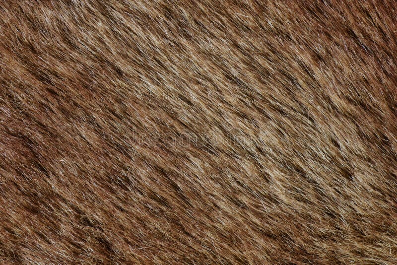 Fur Abstract Brown Texture