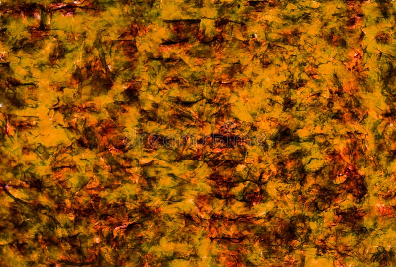 Abstract Brown Texture with Color Transition. Stock Photo - Image of ...