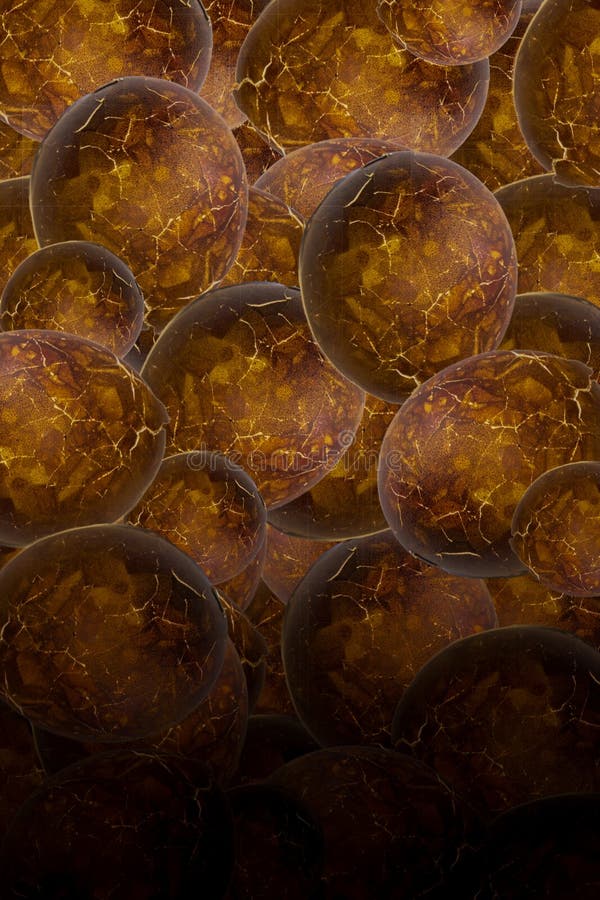 Abstract Bubbles, Cells Under a Microscope Stock Image - Image of ...