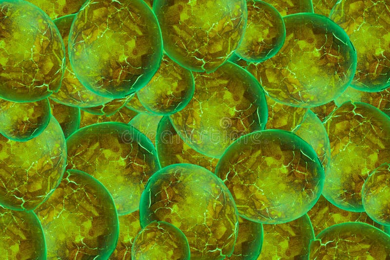 Abstract Bubbles, Cells Under a Microscope Stock Image - Image of cell ...