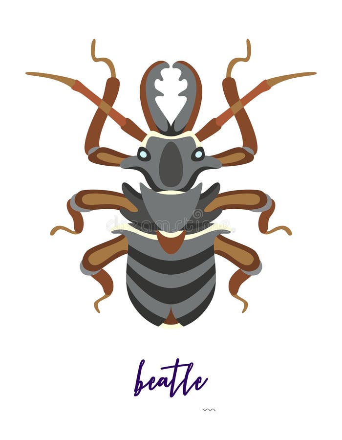 Polygonal Insects Stock Illustrations – 221 Polygonal Insects Stock ...