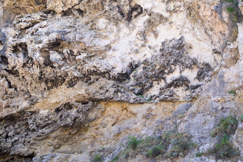 21,897 Bumpy Texture Photos - Free & Royalty-Free Stock Photos from ...