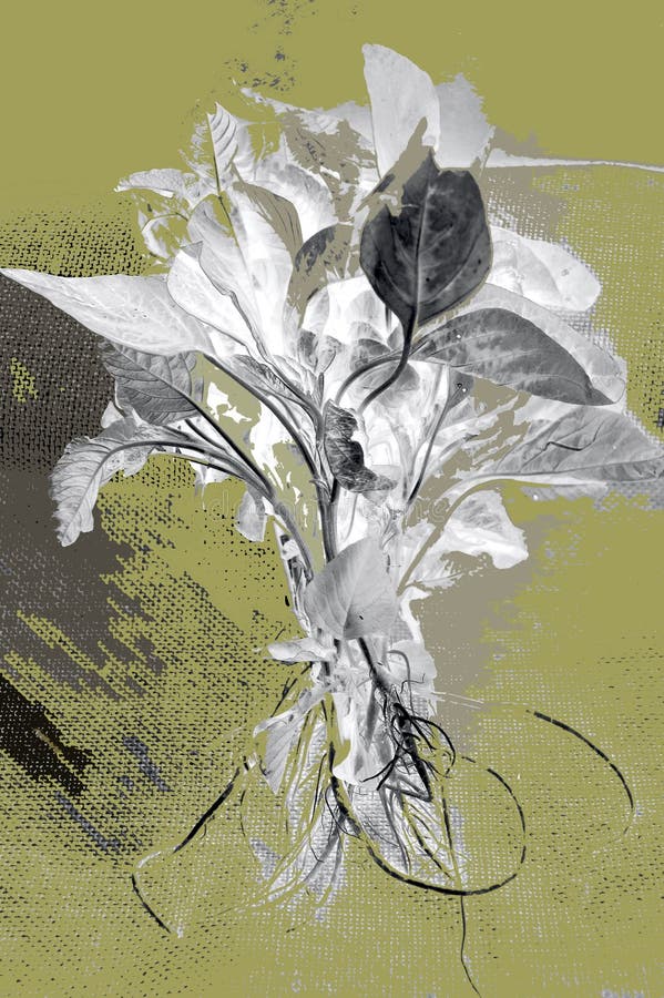 Blacl Panthr Outline Stock Photos - Free & Royalty-Free Stock Photos ...