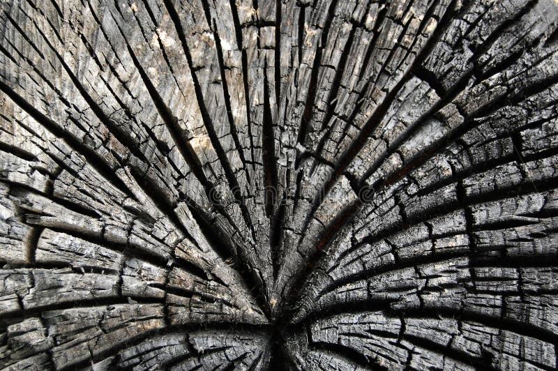 Abstract Burn Wood Background Stock Photo - Image of dirty, burning ...