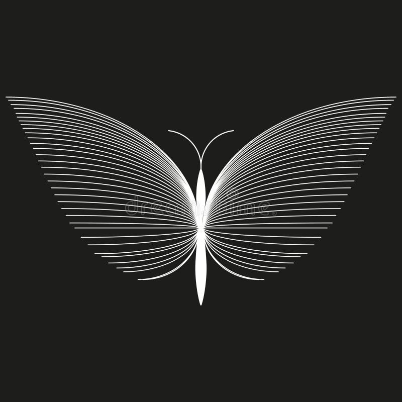Abstract Butterfly Shape. Linear Wing Design. Symmetrical Butterfly ...