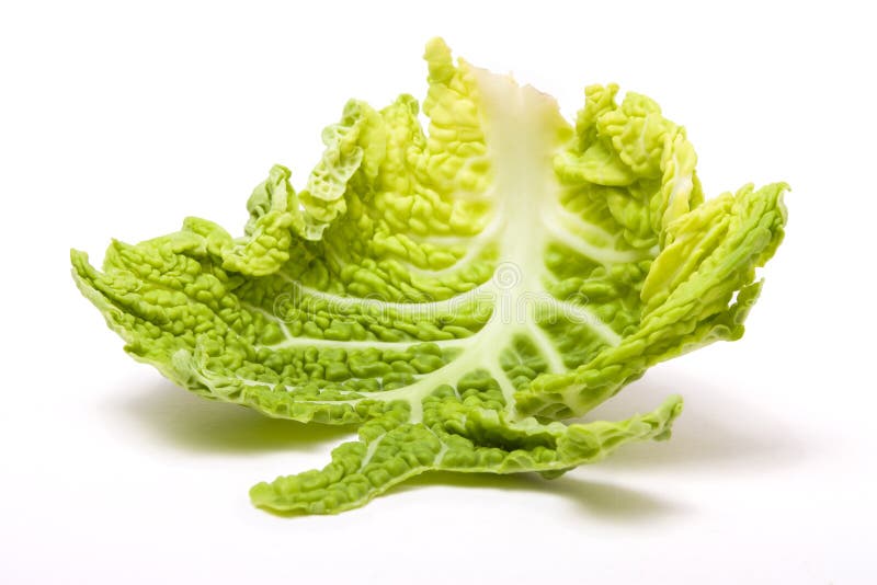 Abstract Cabbage Leaf stock photo. Image of color, vibrant - 13622926