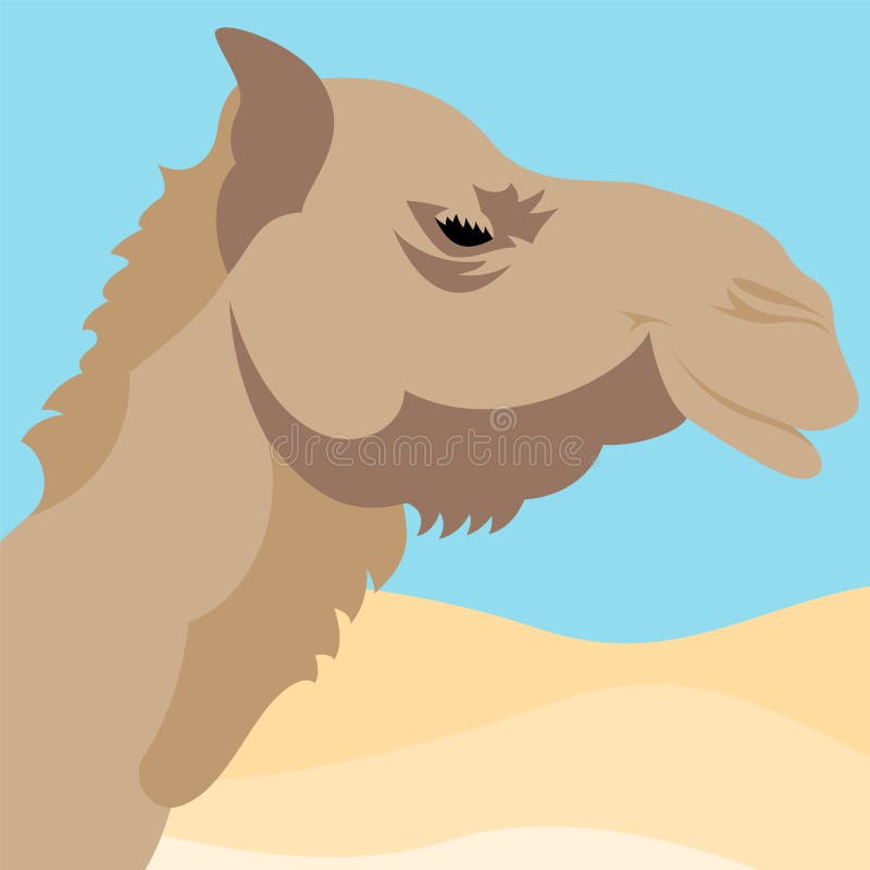 Abstract Camel Drawing stock vector. Illustration of drawing - 235861381
