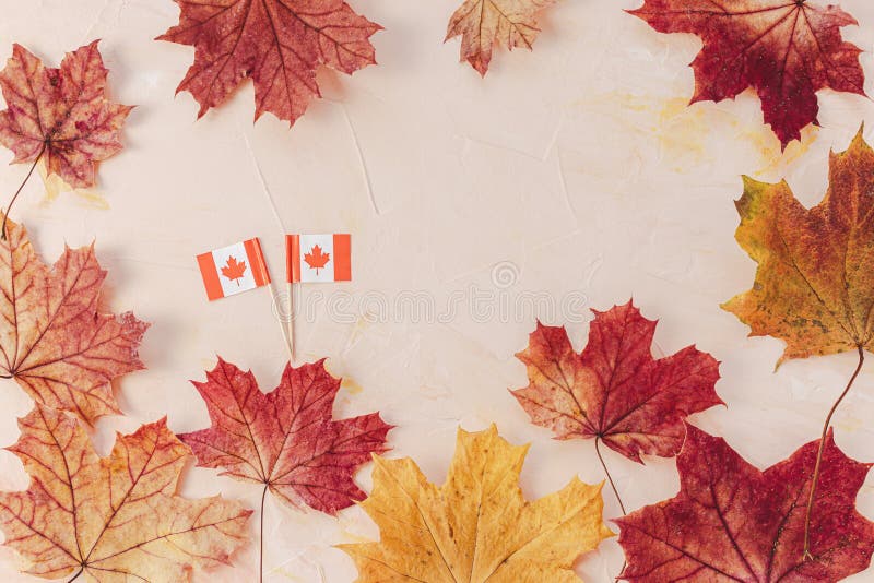 Abstract Canada Background with Small Flags and Maple Leaves Stock ...