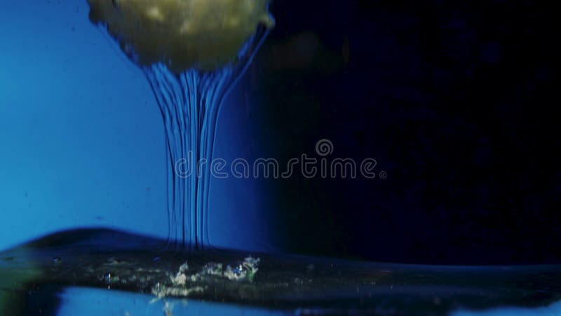 Abstract, Candy Floats Under Water, Leaving a Trail of Sugar Stock ...