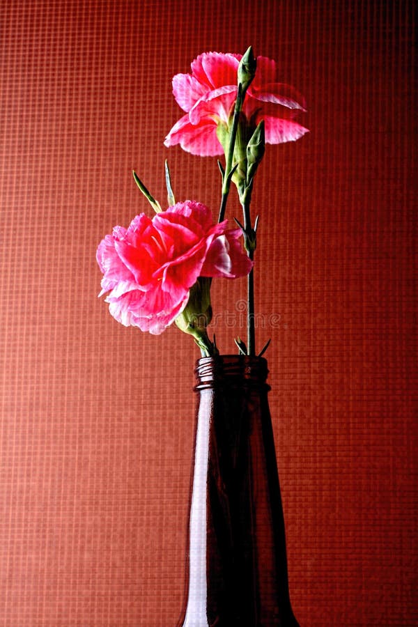 Ed Isaacs (Edisaacs) - Photographer profile