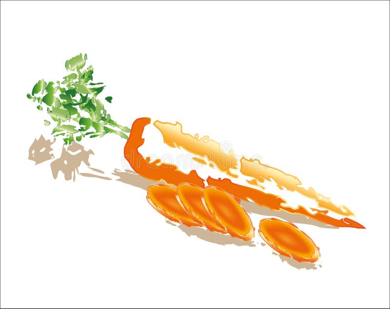 Abstract carrot stock vector. Illustration of shredded - 87281229
