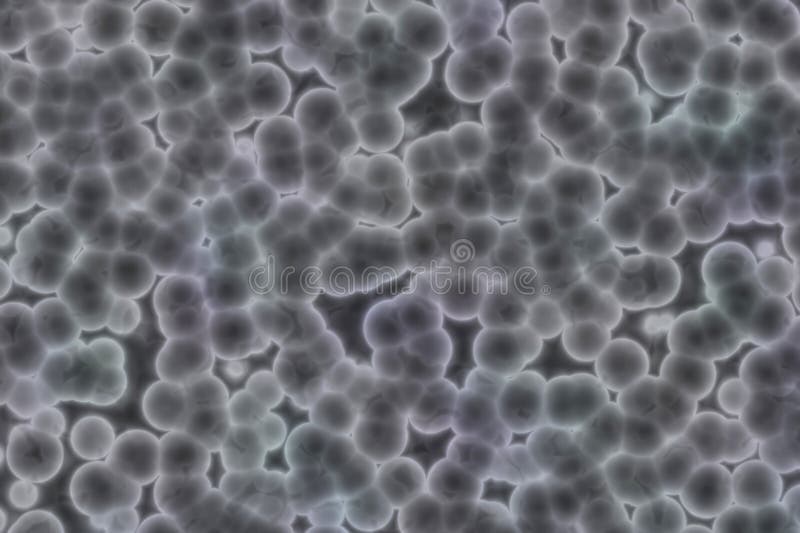 Abstract Cell Background. Pattern and Color Stock Illustration ...