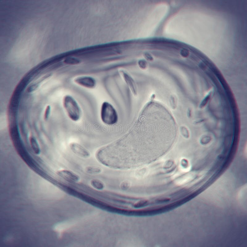 Abstract Cell of Virus or Pathogenic Bacterium Illustration Stock ...