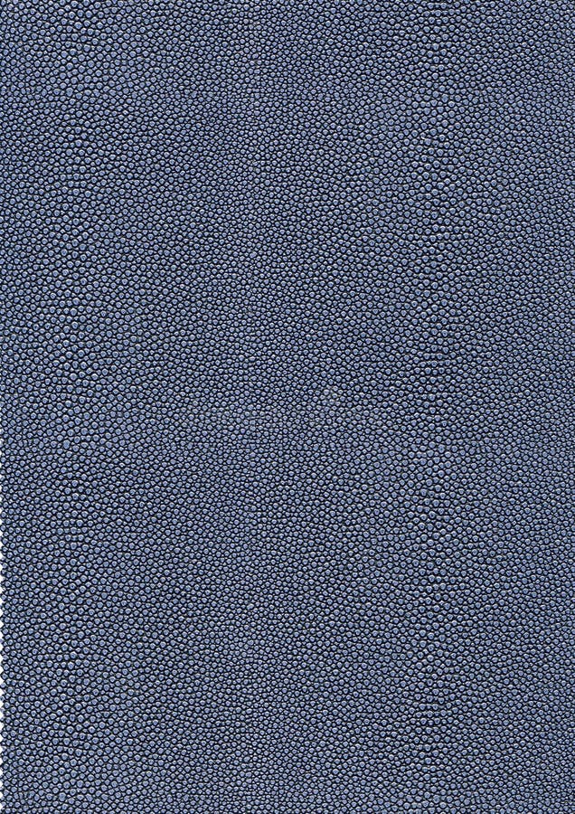 Abstract Cellular Background Stock Image - Image of detail, pitted ...