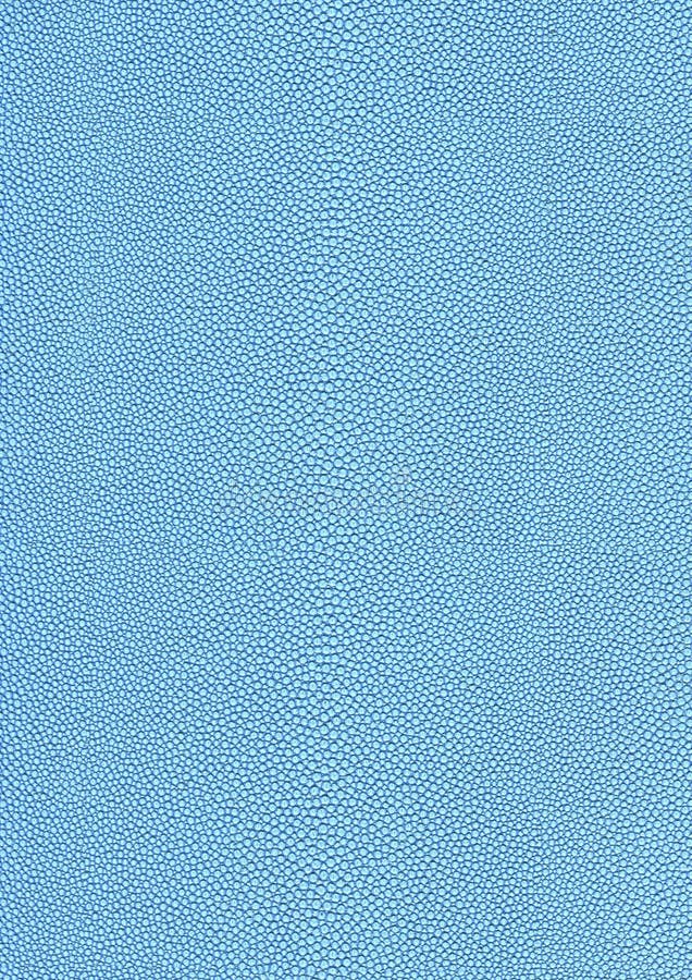 Abstract Cellular Background Stock Photo - Image of detail, gauze: 84408518